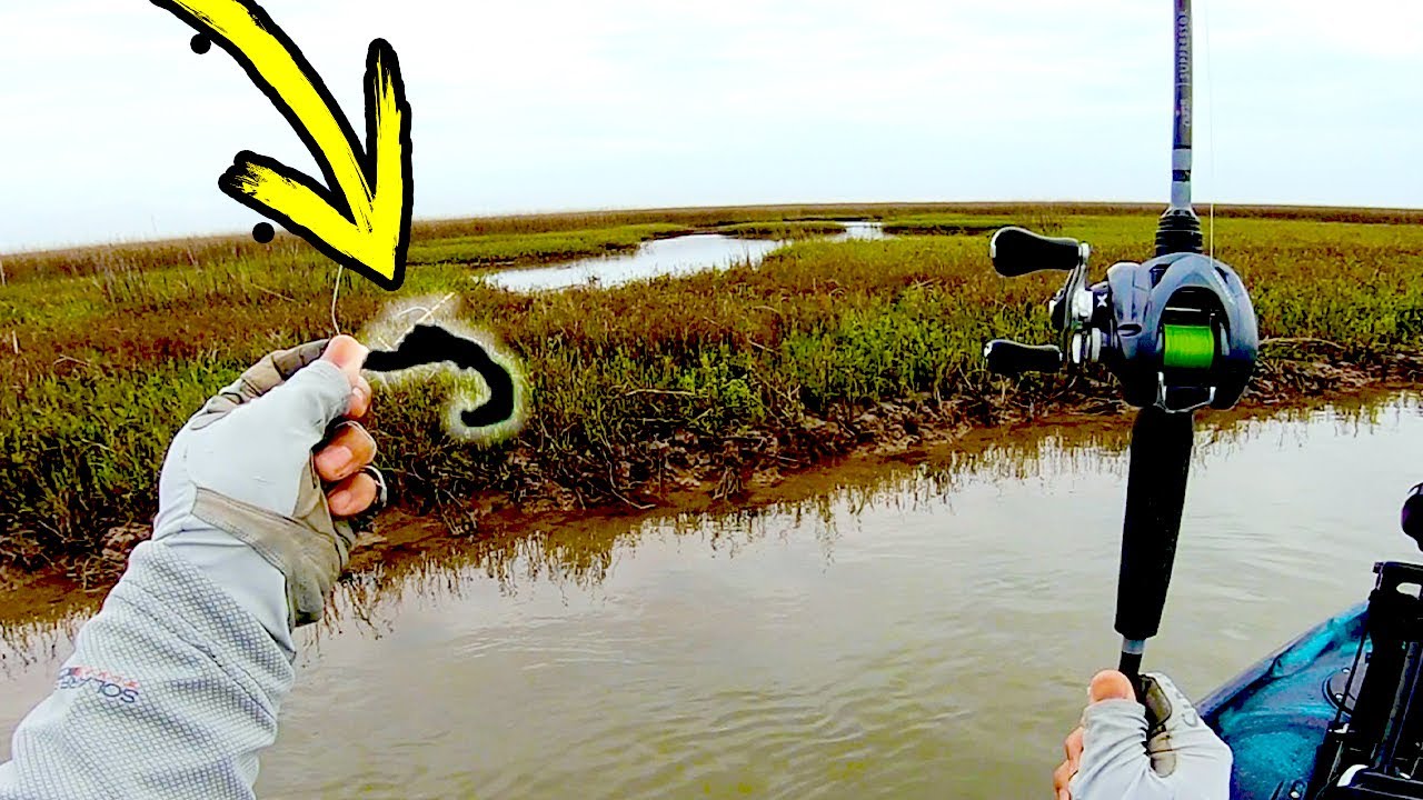 Flounder POUNDED this LURE‼️ Flounder Fishing - YouTube