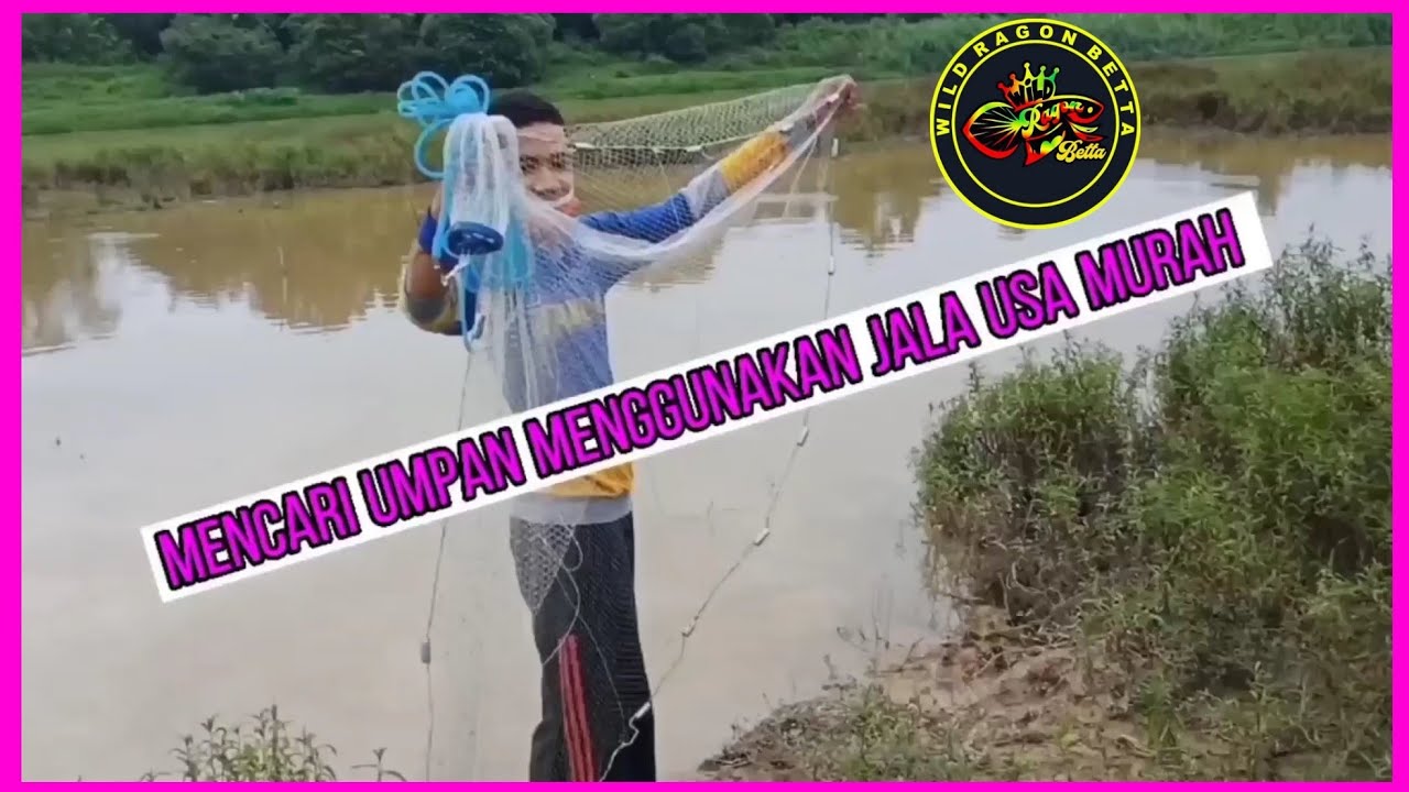 🔰CARI UMPAN MENGGUNAKAN JALA USA MURAH - YouTube