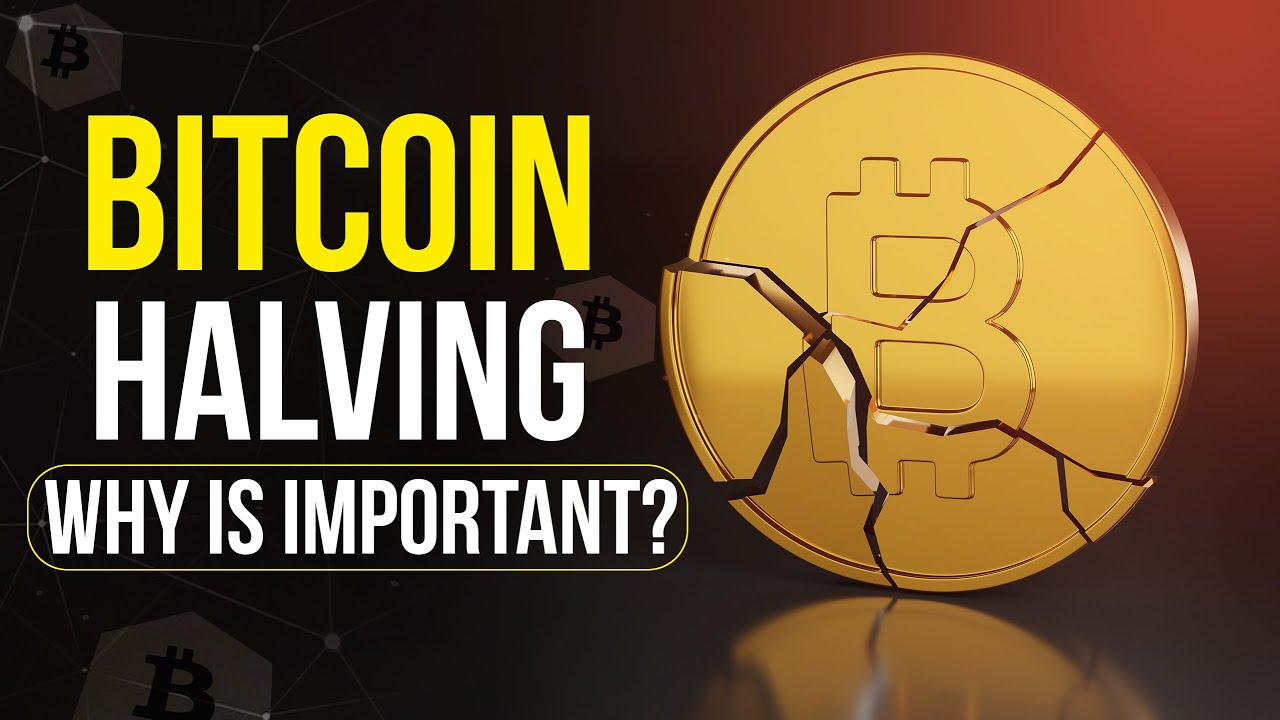 Bitcoin Halving Explained: Why It Is So Important? | Cryptela - YouTube