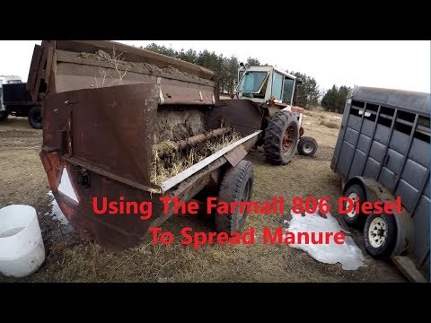 Using The Farmall 806 To Spread Manure - YouTube