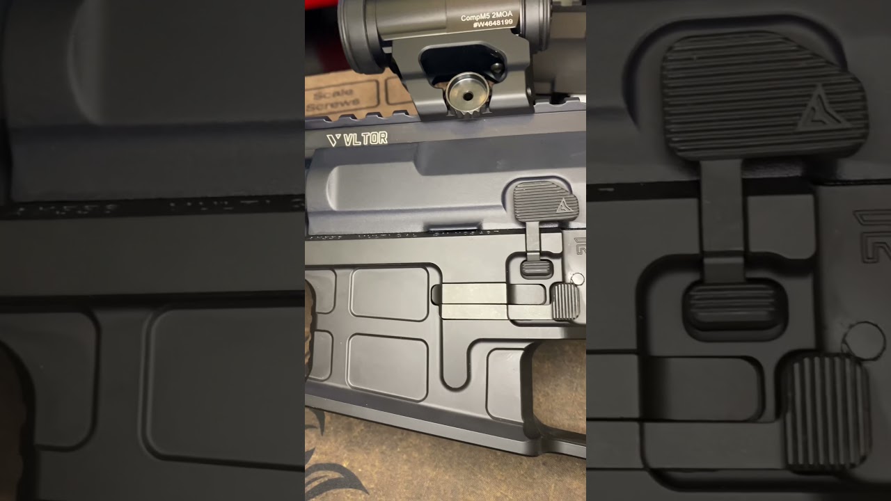 High-end 300 BLK AR Build: Radian AX-556 lower with VLTOR MUR upper ...