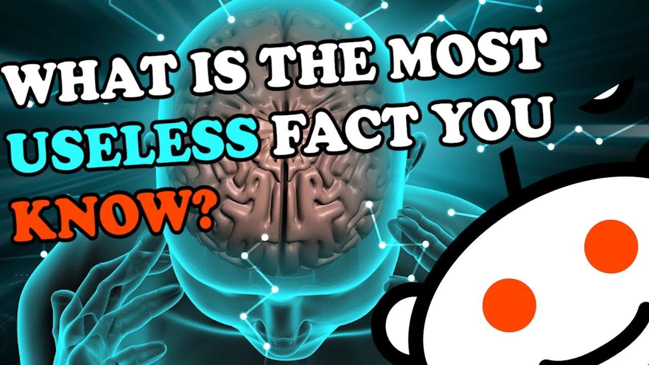 What Is The Most Useless Fact You Know r askreddit YouTube what-is-the-most-useless-fact-you-know-r-askreddit-youtube