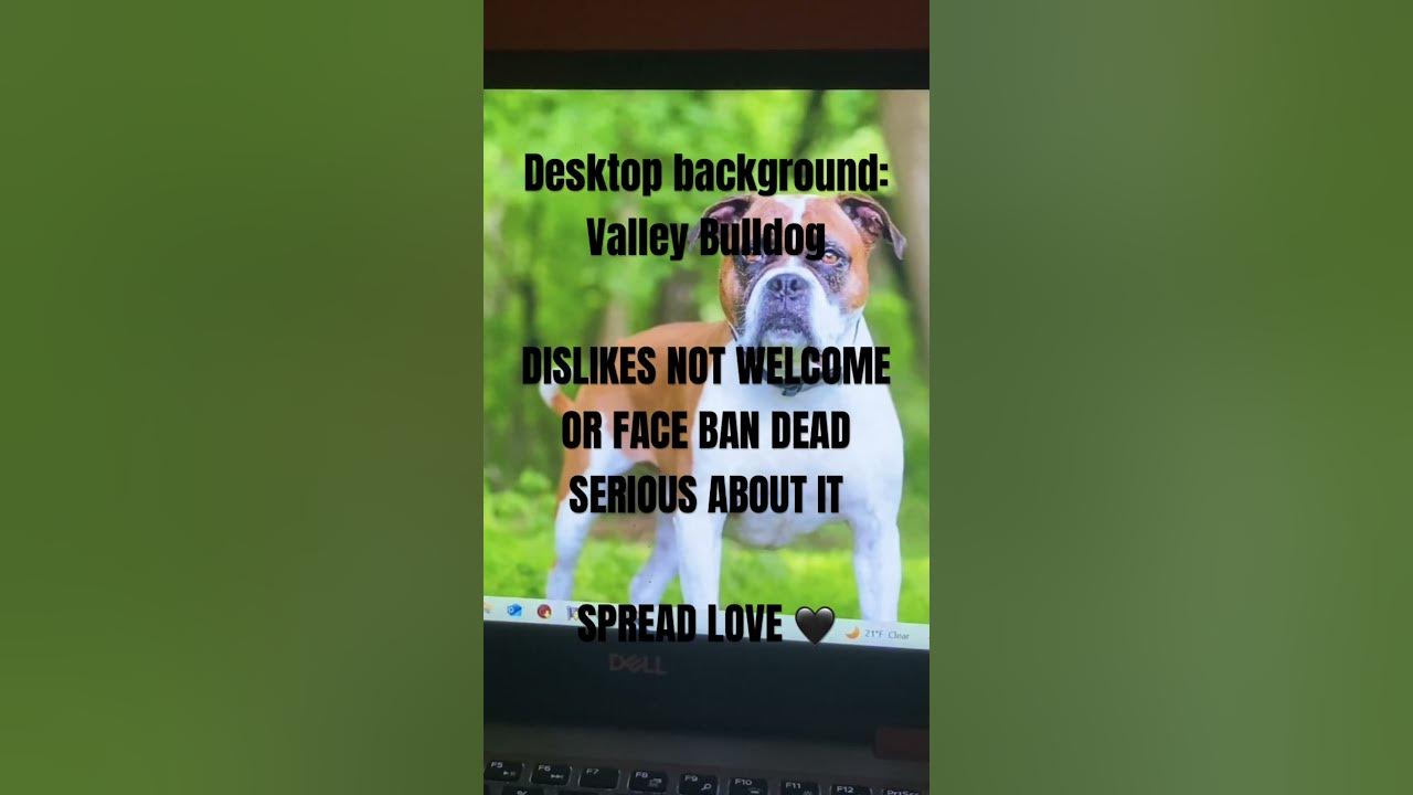 Valley Bulldog - YouTube