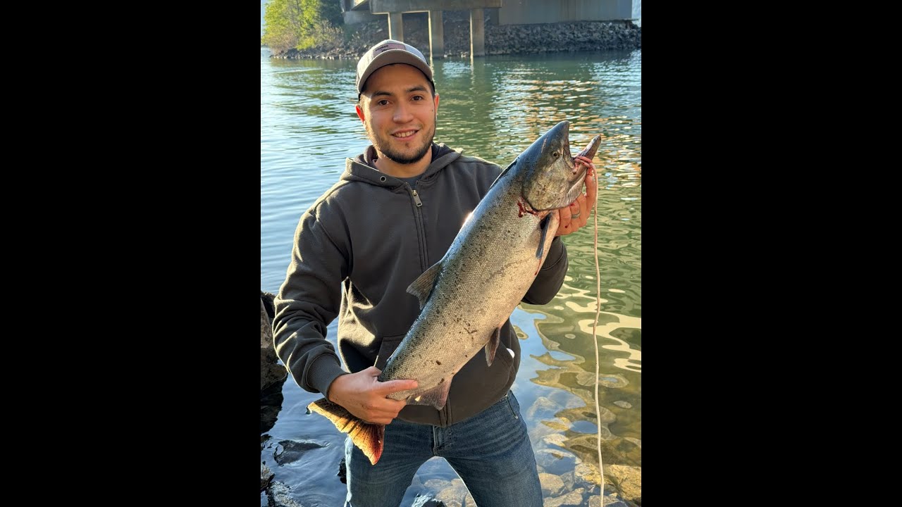 Drano lake spring chinook fishing May 2024 - YouTube