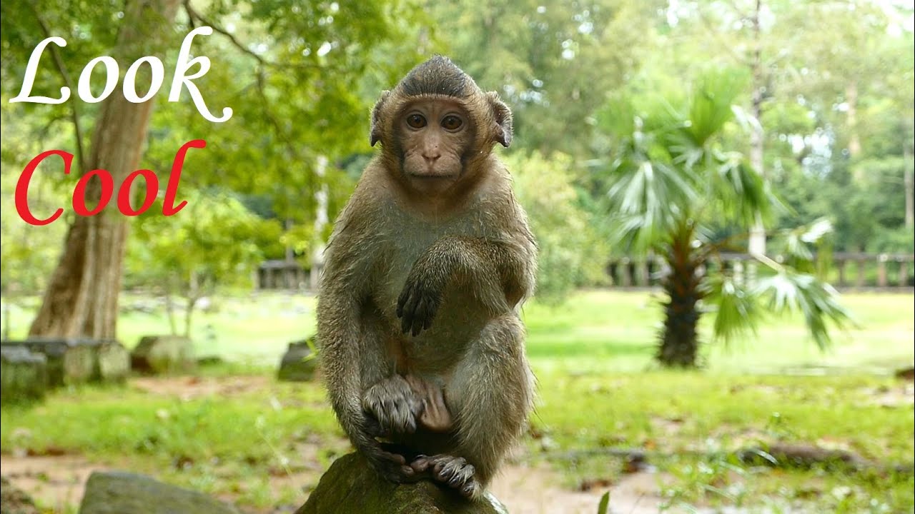 Update Jane Family Under Raining Drop, Baby Jody Get Wet Look Cool ...