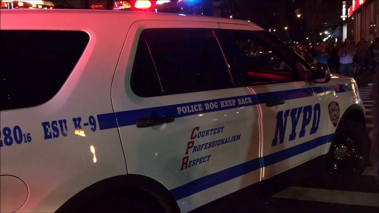 RARE CATCH OF NYPD ESU K-9 & NYPD CRC K-9 UNITS RESPONDING TO WHERE 2ND ...