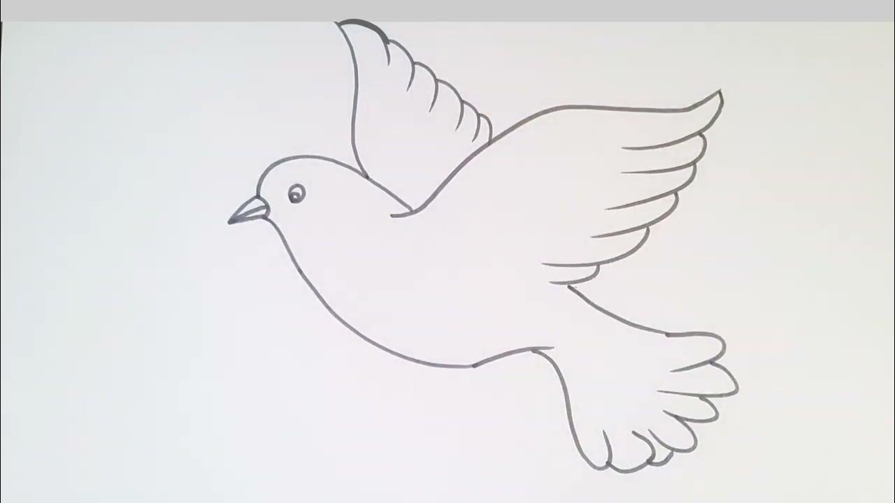 how to draw flying bird drawing easy step by step@DrawingTalent - YouTube