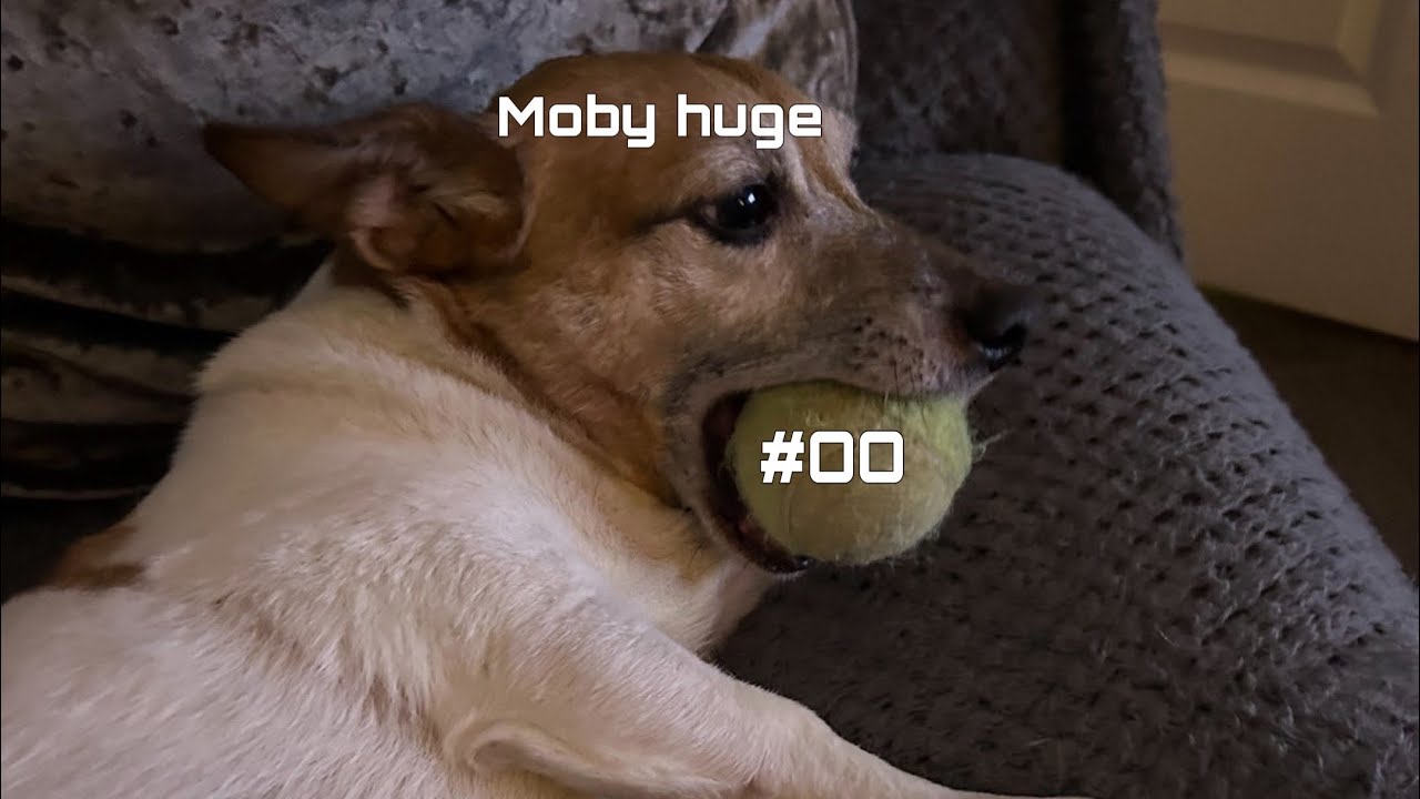 the pvp that ran #OO off fearless (Xbox tribe btw) - YouTube