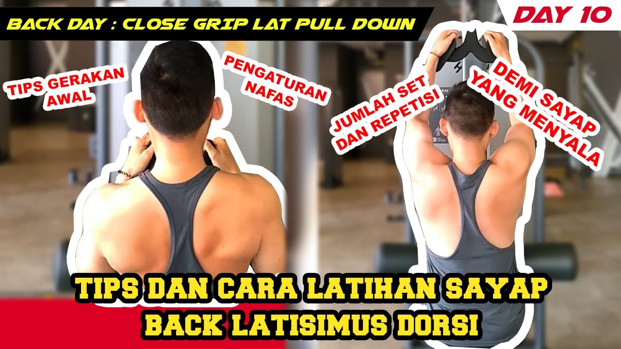 Tips dan Tutorial Gerakan Fitness Close grip Lat Pull Down . Latihan Gym Sayap Back Day Training ...