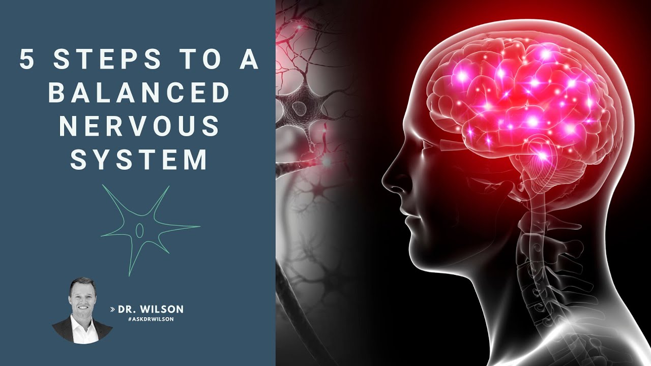 5 Steps to a Balanced Nervous System - YouTube