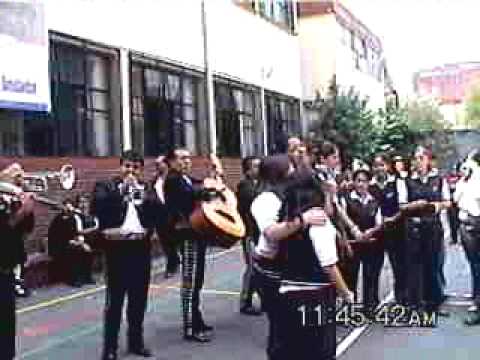 Colegio Francés Pasteur - El Rey - YouTube