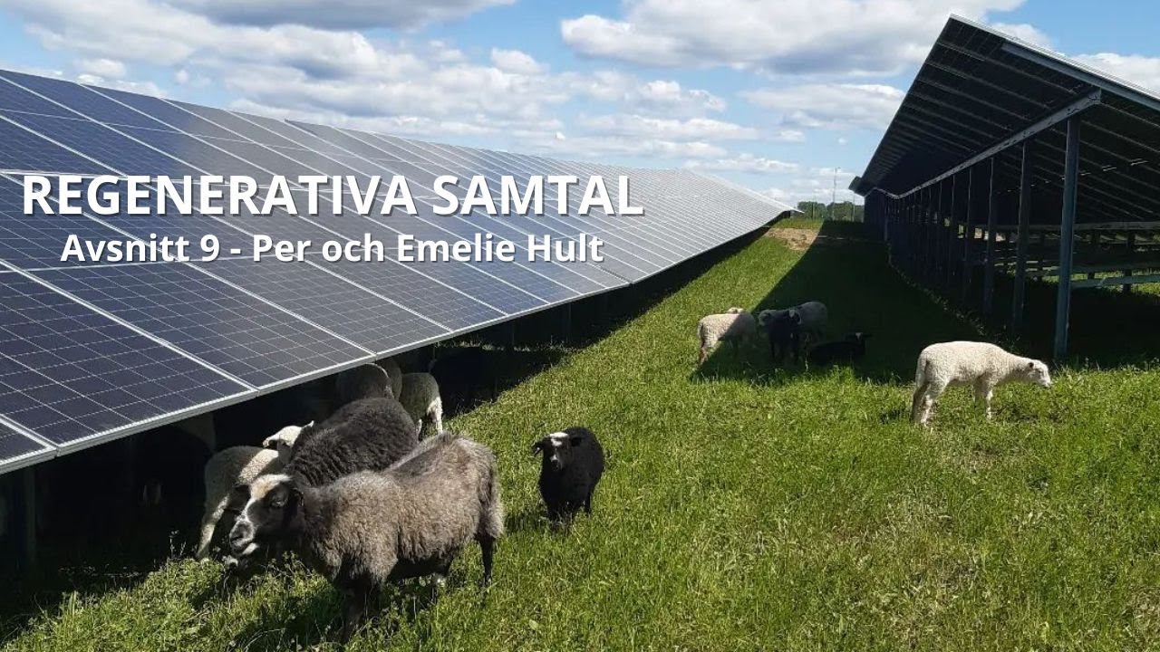 Regenerativa Samtal - Avsnitt 9 - Per och Emelie Hult - YouTube