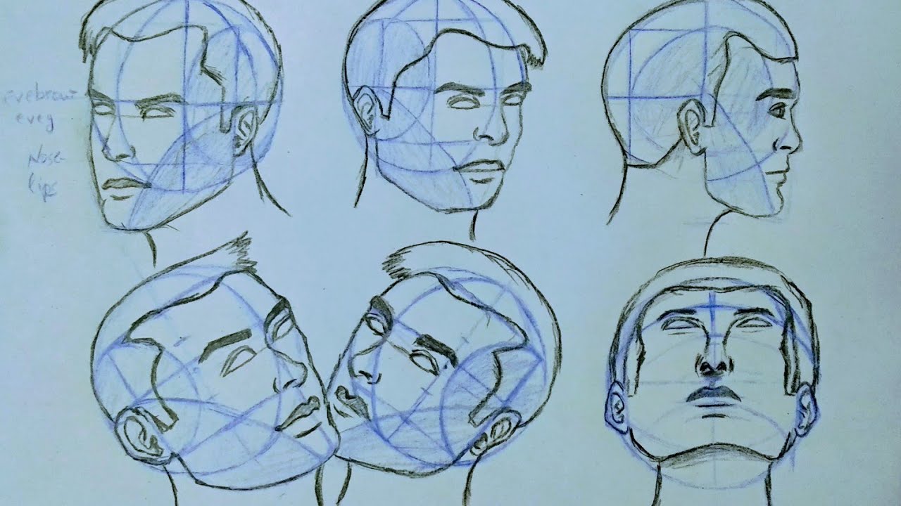 How to draw the head using Loomis method from different angles - YouTube