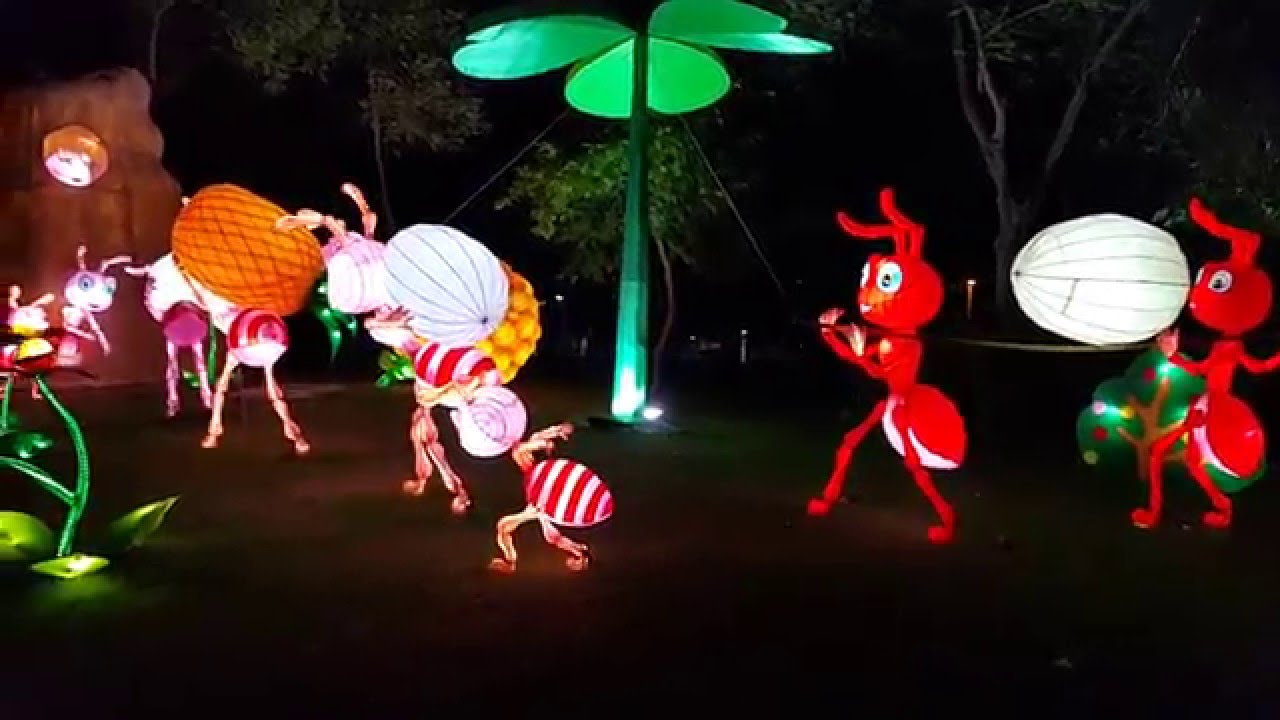 Dubai Garden Glow - The Ant Army on New Year's Day 2016 - YouTube