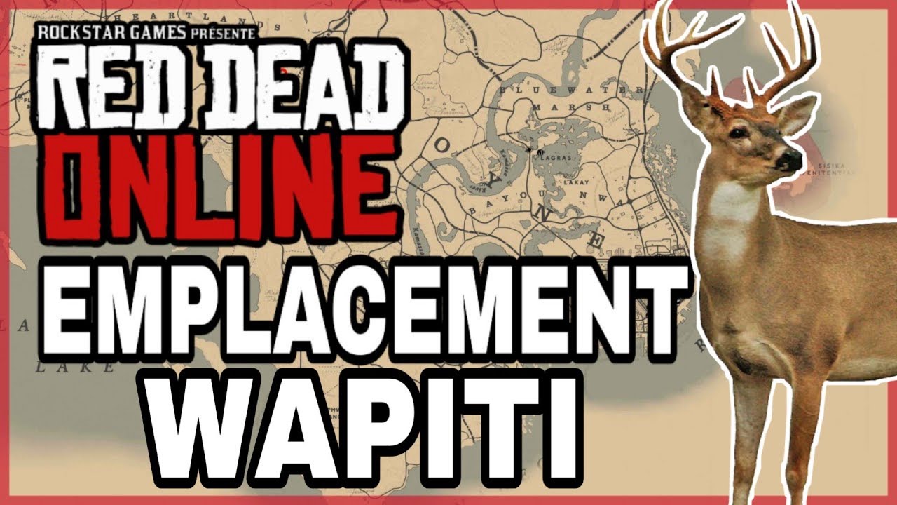 OU TROUVER DES WAPITI [RED DEAD ONLINE] - YouTube