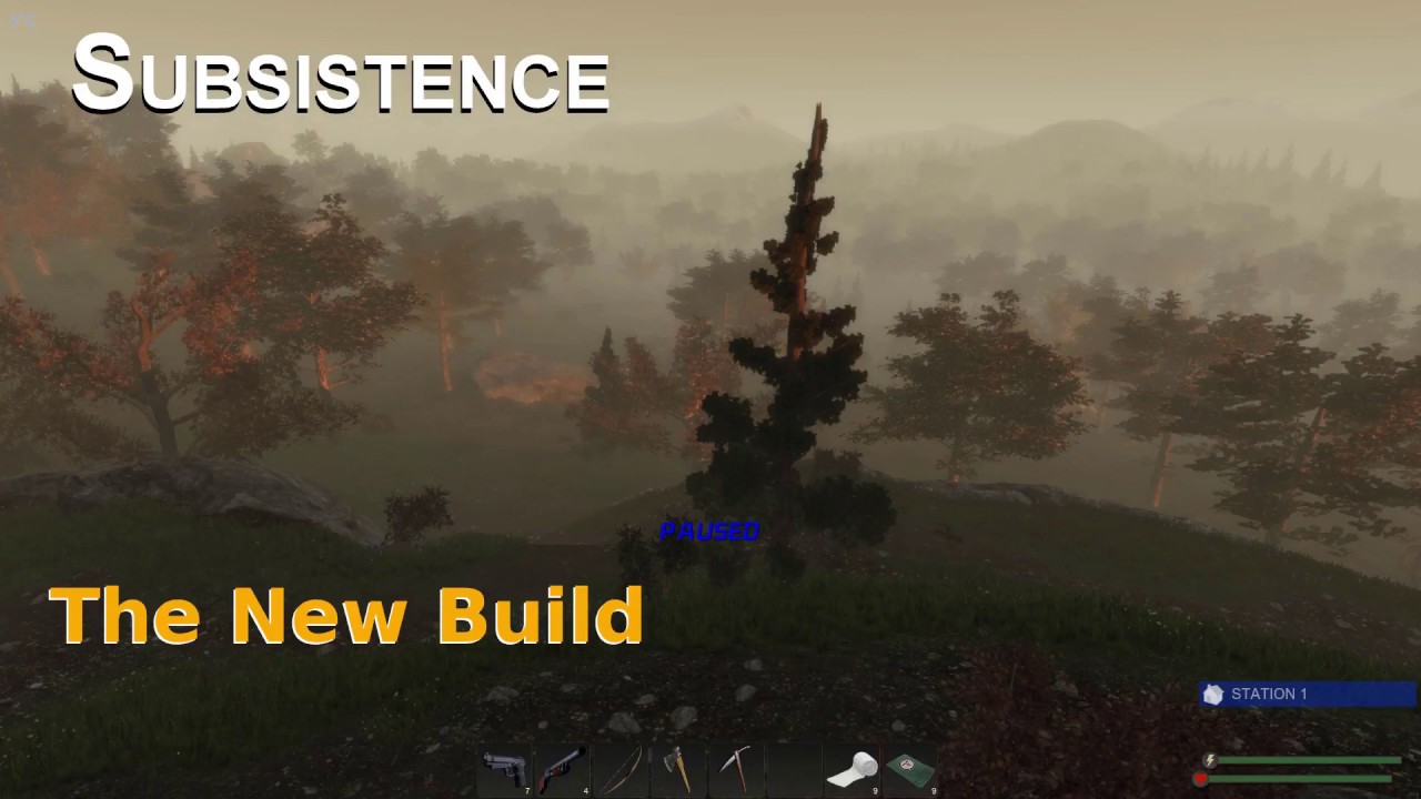 The New Subsistence Build - YouTube