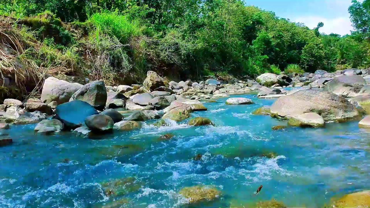 Fall Asleep Immediately to Gentle River Sounds and Soft Stream Flow in ...