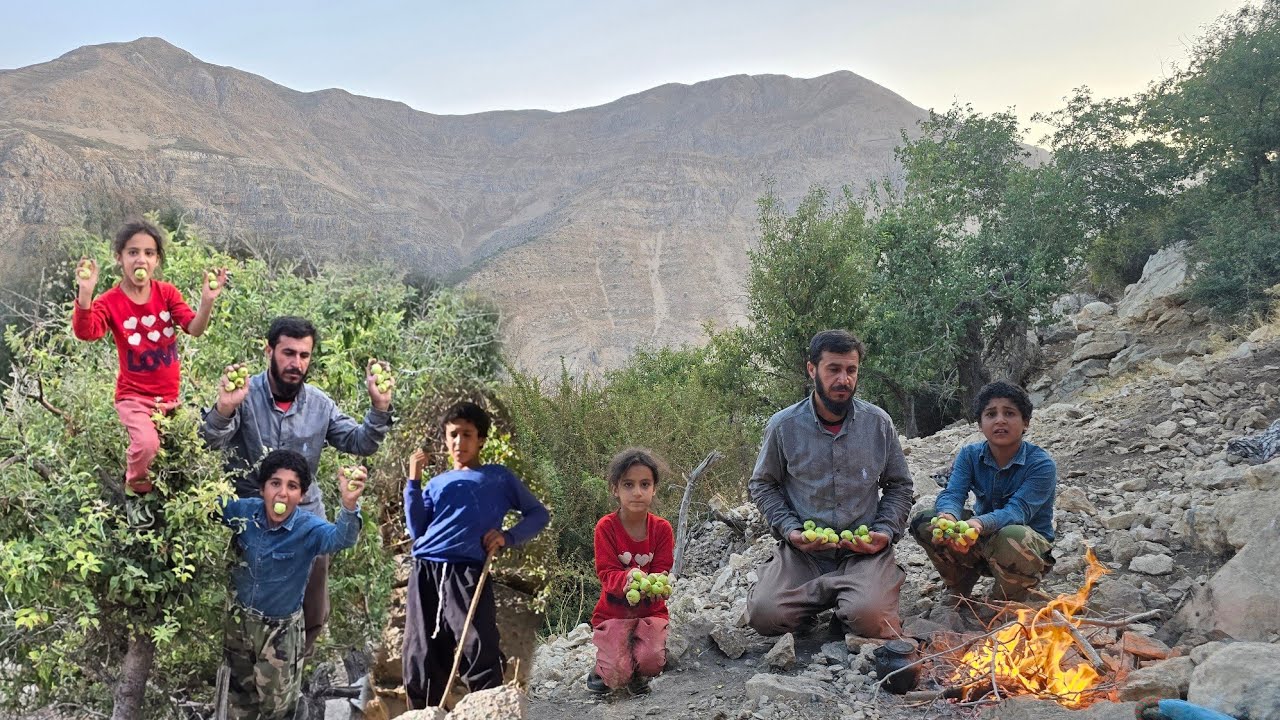 The real life of nomads in the Zagros Mountains, picking wild apples ...