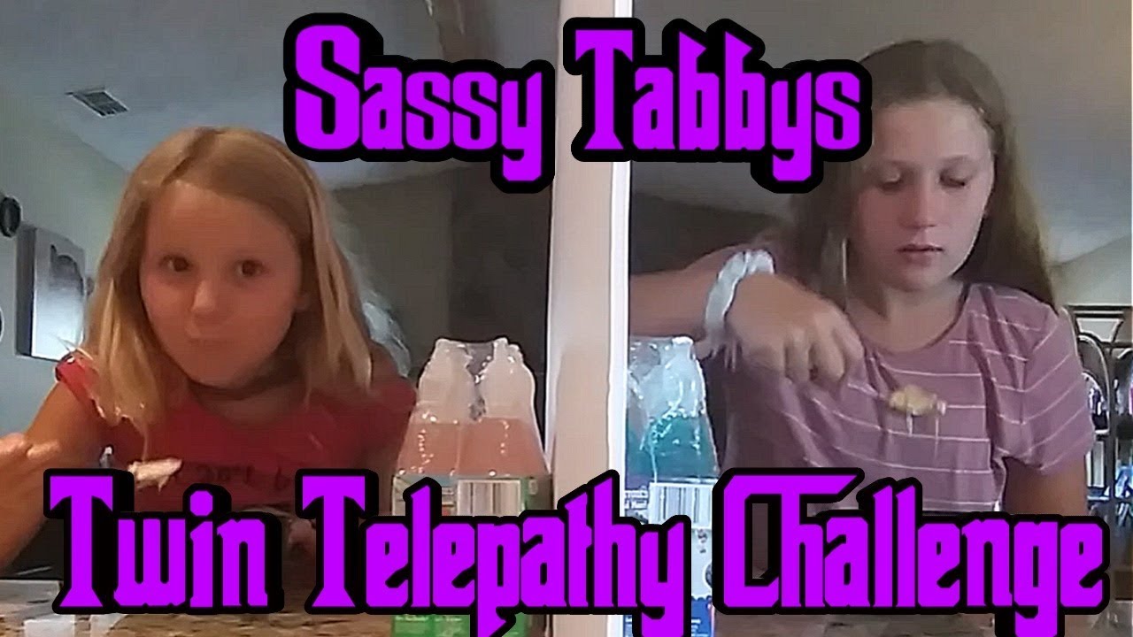 Twin Telepathy ice cream challenge with my sister - YouTube