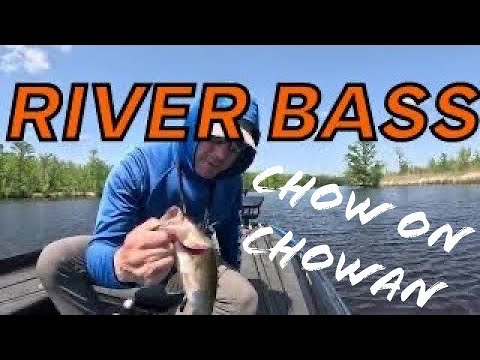 Coastal Carolina Bass Fishing Adventure - Chowan River - YouTube