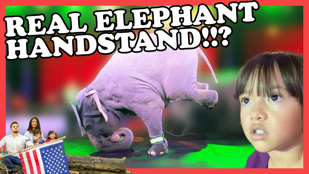 ELEPHANTS DOING HANDSTANDS 😱😱😱 The Solo Family | GARDEN BROS CIRCUS ...