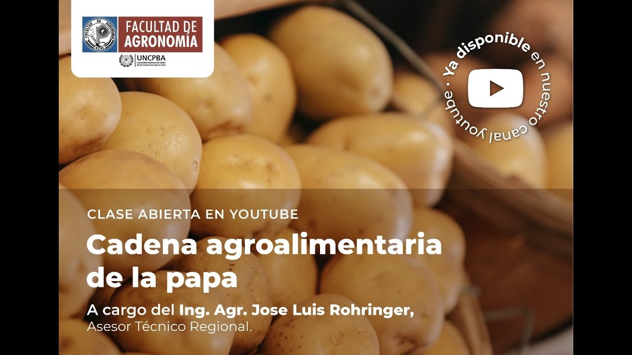6 - “Cadena agroalimentaria de la papa” - Ing. Agr. Jose Luis Rohringer ...