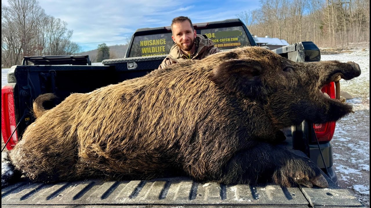 450LB Mammoth Wild Boar! Hog of a Lifetime with a Bow! - YouTube