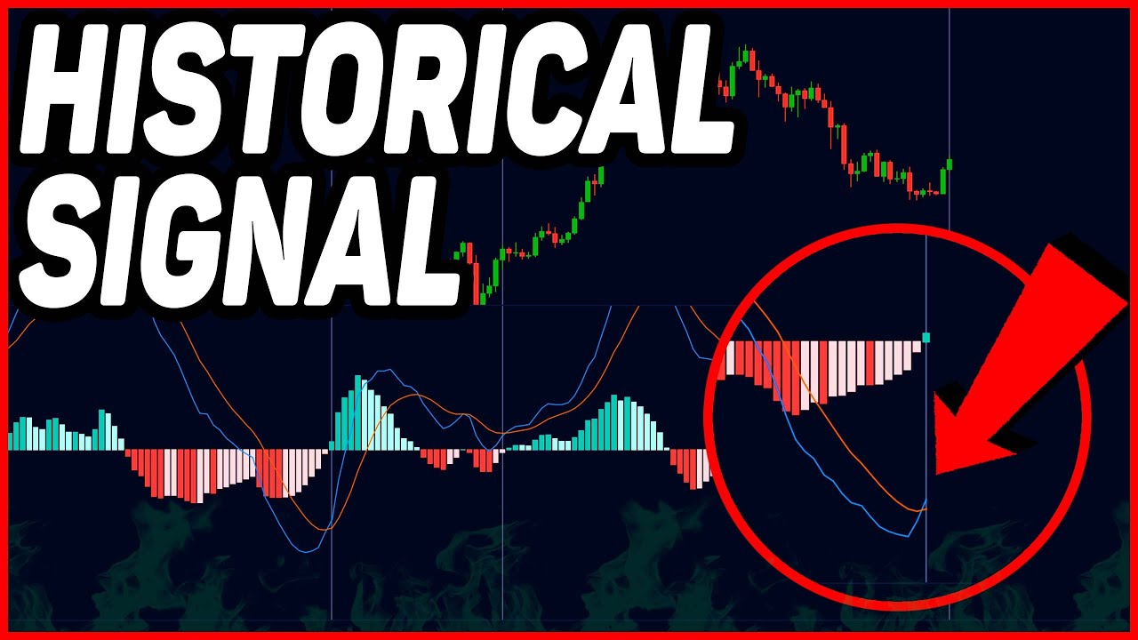 HISTORICAL BITCOIN SIGNAL FLASHING!!!! [bull market signal] - Grove Crypto