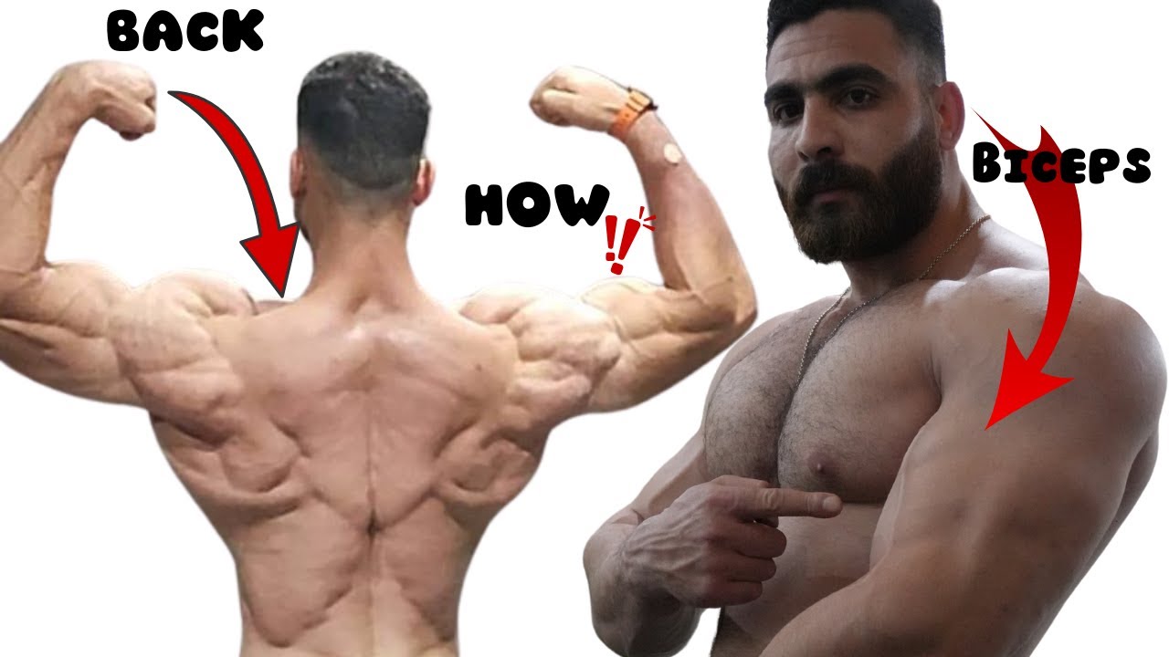 Back & Biceps Workout for Muscle Growth | Best Routine for Beginners ...