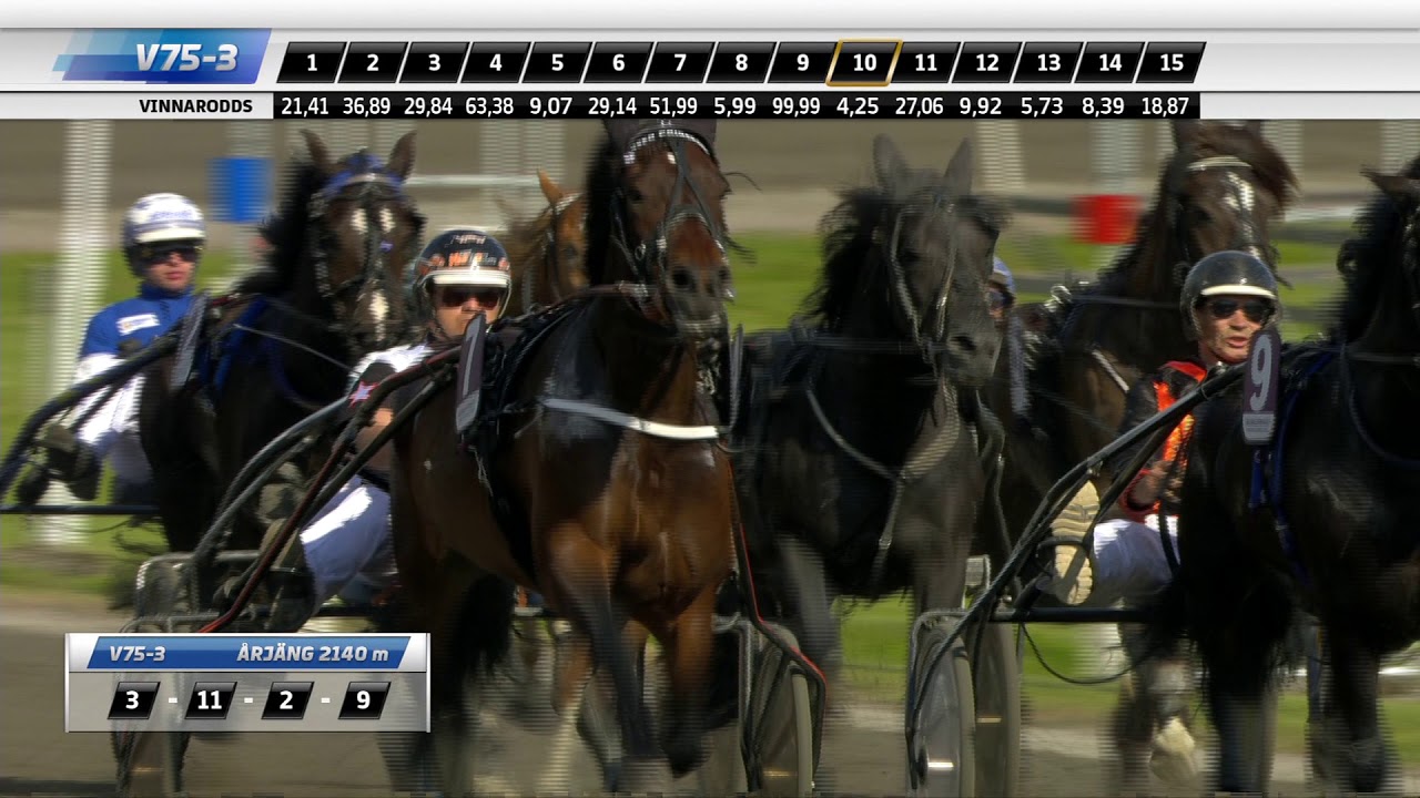 V75 på 30 minutter 13. juli 2019 - YouTube