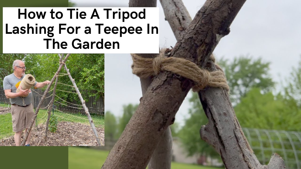 Garden Fun With Grandkids | Green Bean Teepee - YouTube