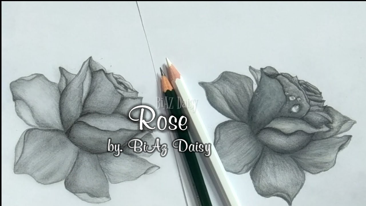 CARA MENGGAMBAR BUNGA MAWAR||how to draw roses for beginners#Sketsa ...