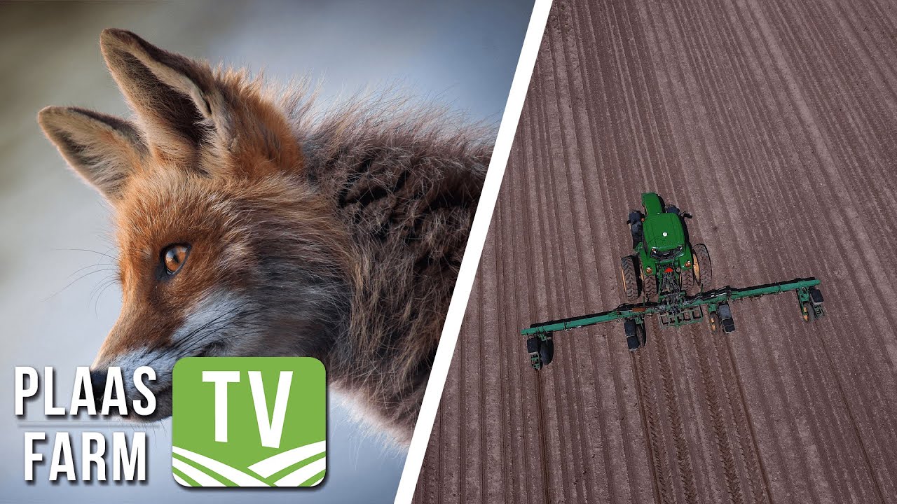 Vooruitsigte vir produksieseisoen / One Health: Farm TV - 19 November ...