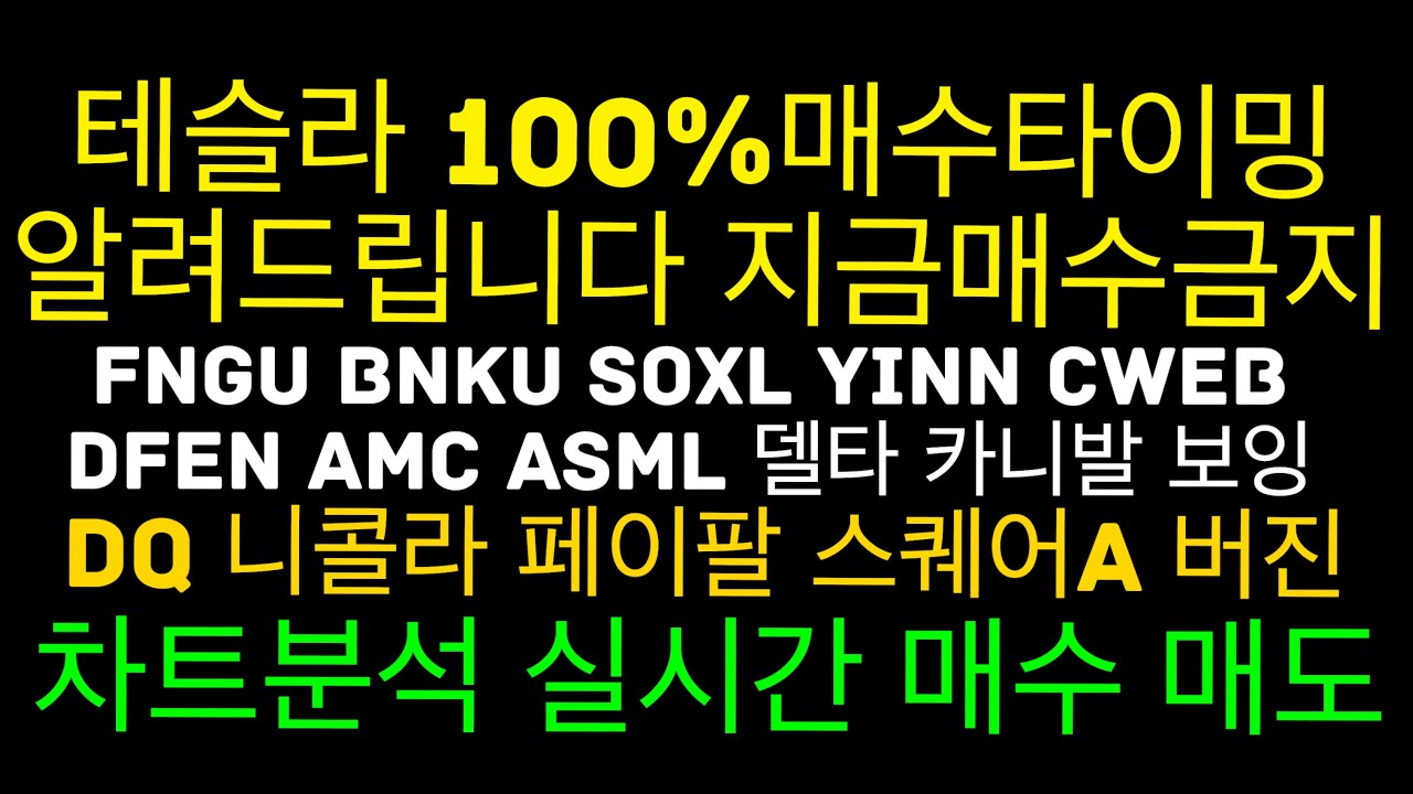 테슬라 100% 매수타이잉 알려드립니다 지금 매수하지마세요 FNGU BNKU SOXL YINN CWEB DFEN AMC ASML 델타 보잉 카니발 DQ 니콜라 페이팔 스퀘어 ...