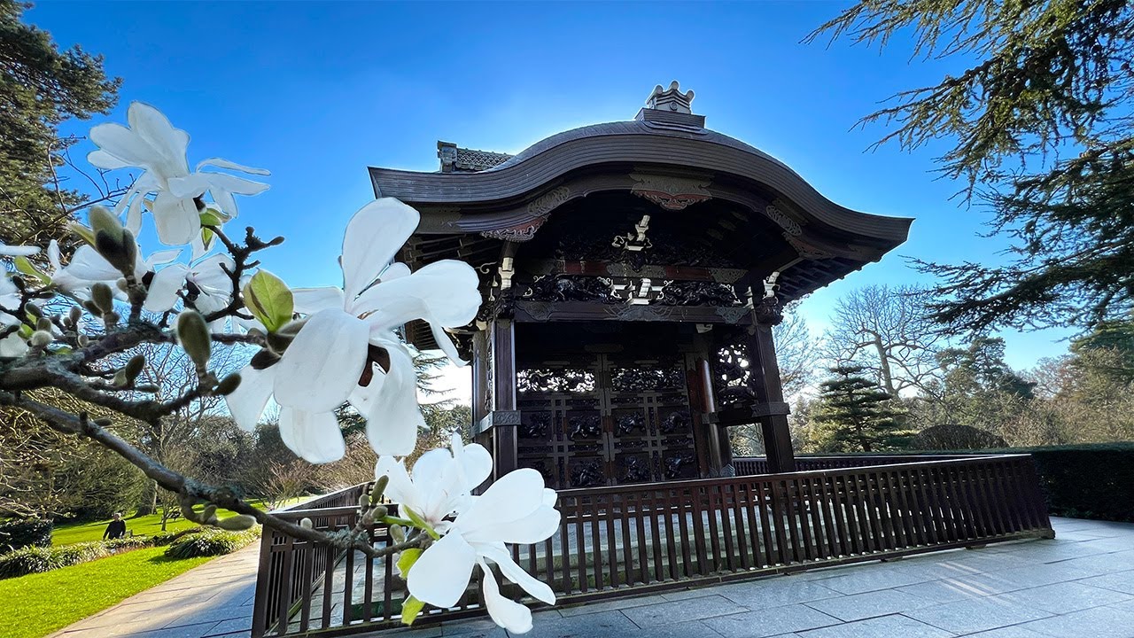Harmony at the Japanese Garden with Impressive Chokushi-Mon Gate | Kew ...