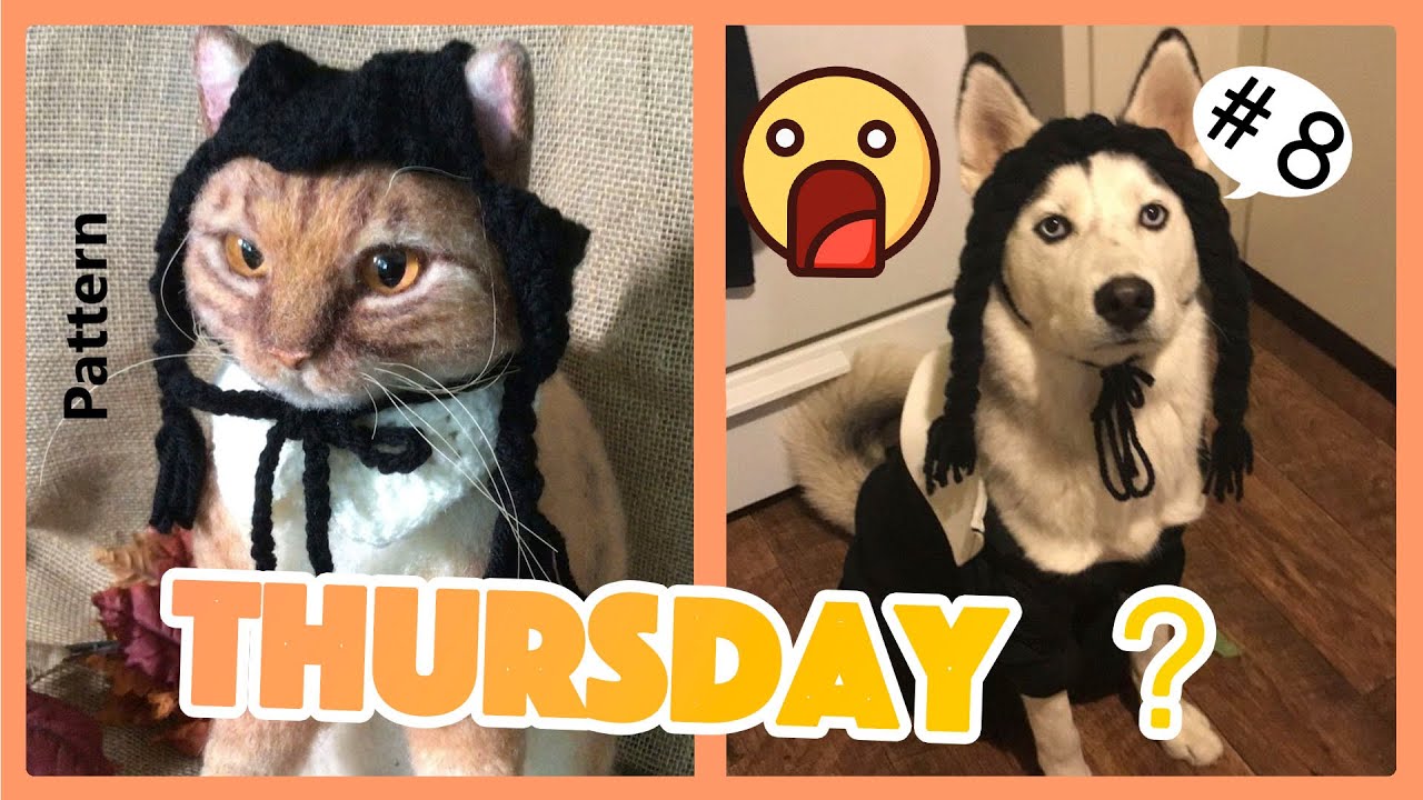 Wednesday Addams animals or Thursday is Tyler animals - Bloody Prom ...