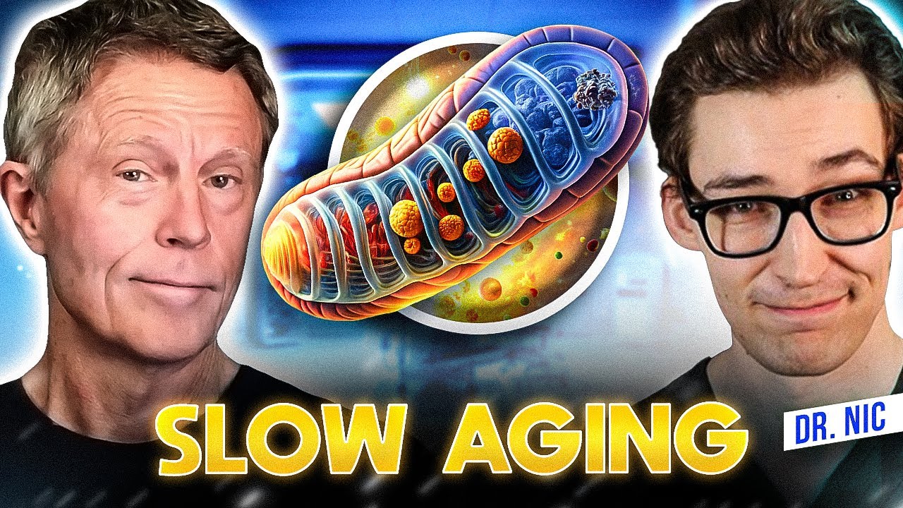 Dr. Nic (Physionic): How to Improve Mitochondrial Health For Longevity - YouTube