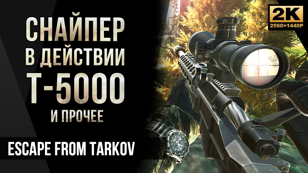 Снайпер в действии Т-5000 • Escape from Tarkov №63 [2K] - YouTube