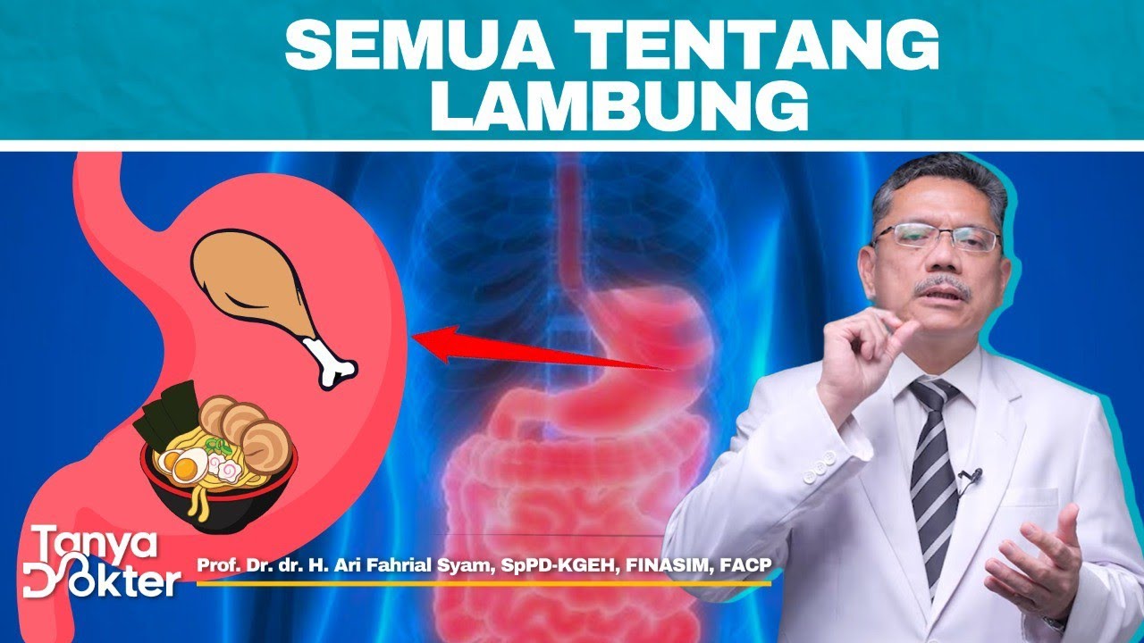 LAMBUNG: Dari Fungsi Hingga Penyakit Lambung | Kata Dokter #16 - YouTube