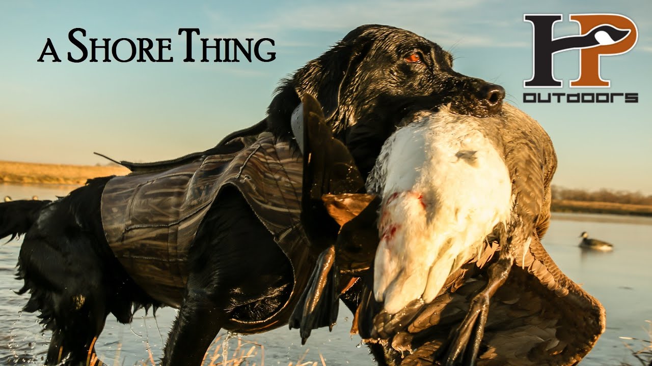 "A Shore Thing" - YouTube