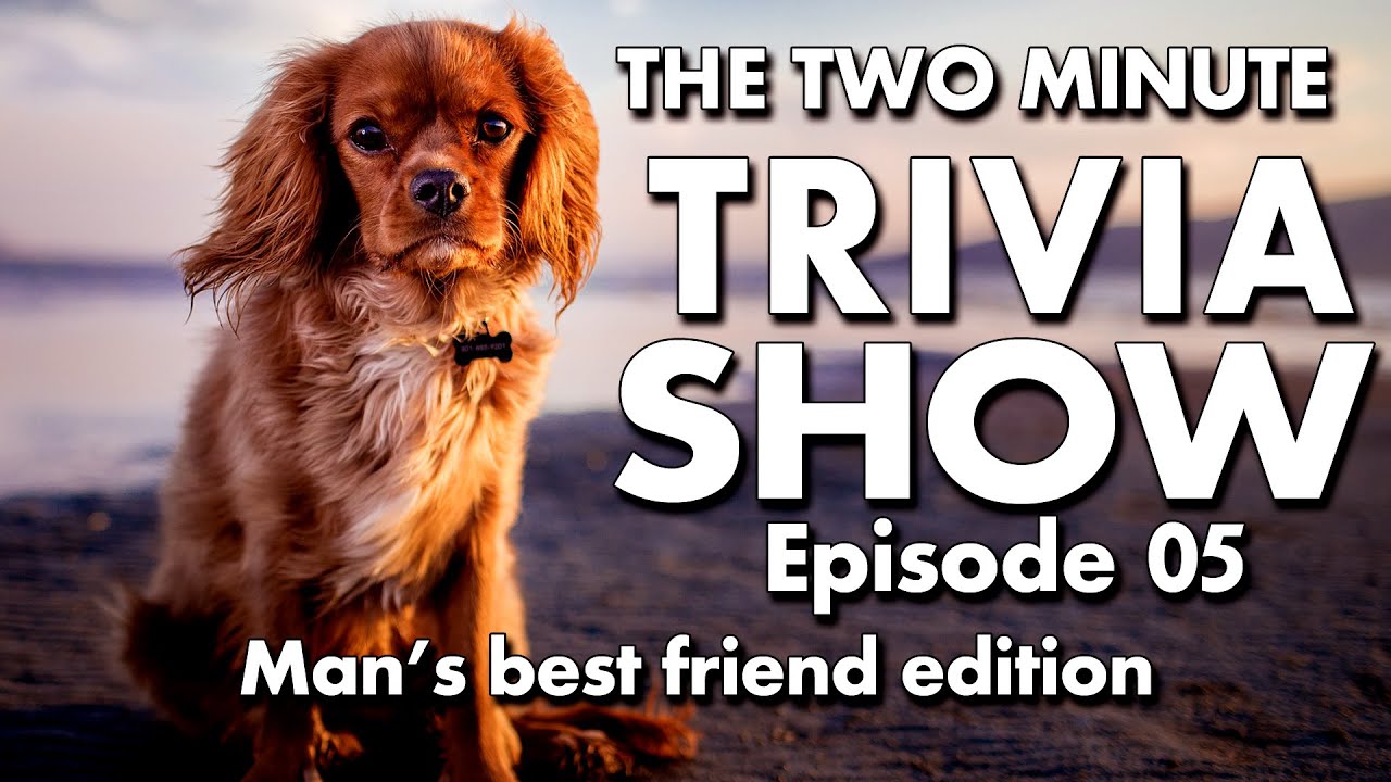 Cute Dog Trivia Quiz Episode of the Two Minute Trivia Show - YouTube