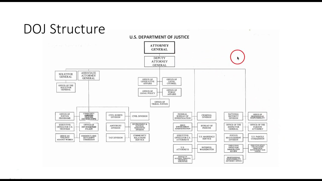 Is DOJ part of the executive or judicial branch, or is it both? - YouTube