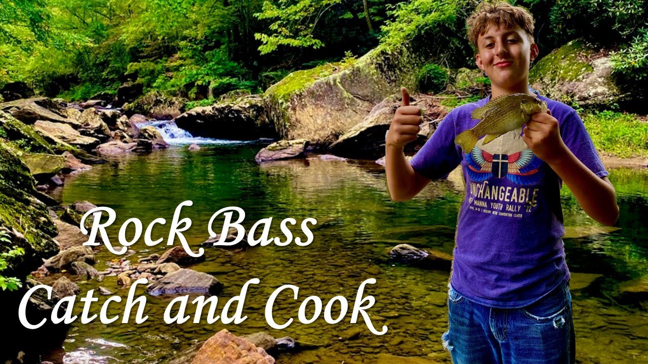 Rock Bass- Catch And Cook - YouTube
