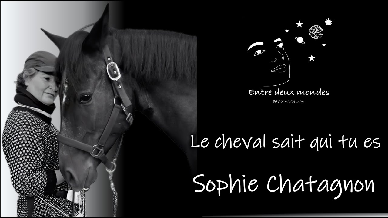 Entre deux Mondes - Interview - Le cheval sait qui tu es, Sophie ...