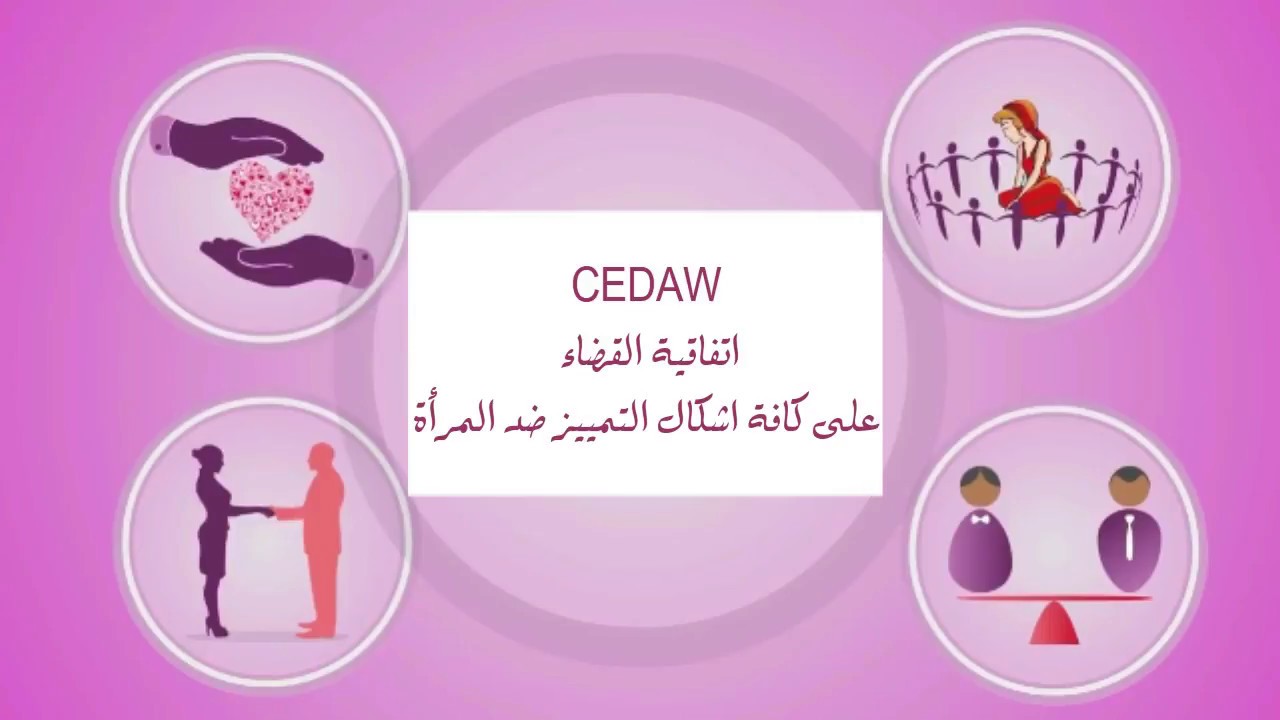 اتفاقية القضاء على جميع أشكال التمييز ضد النساء سيداو مشروع Anti