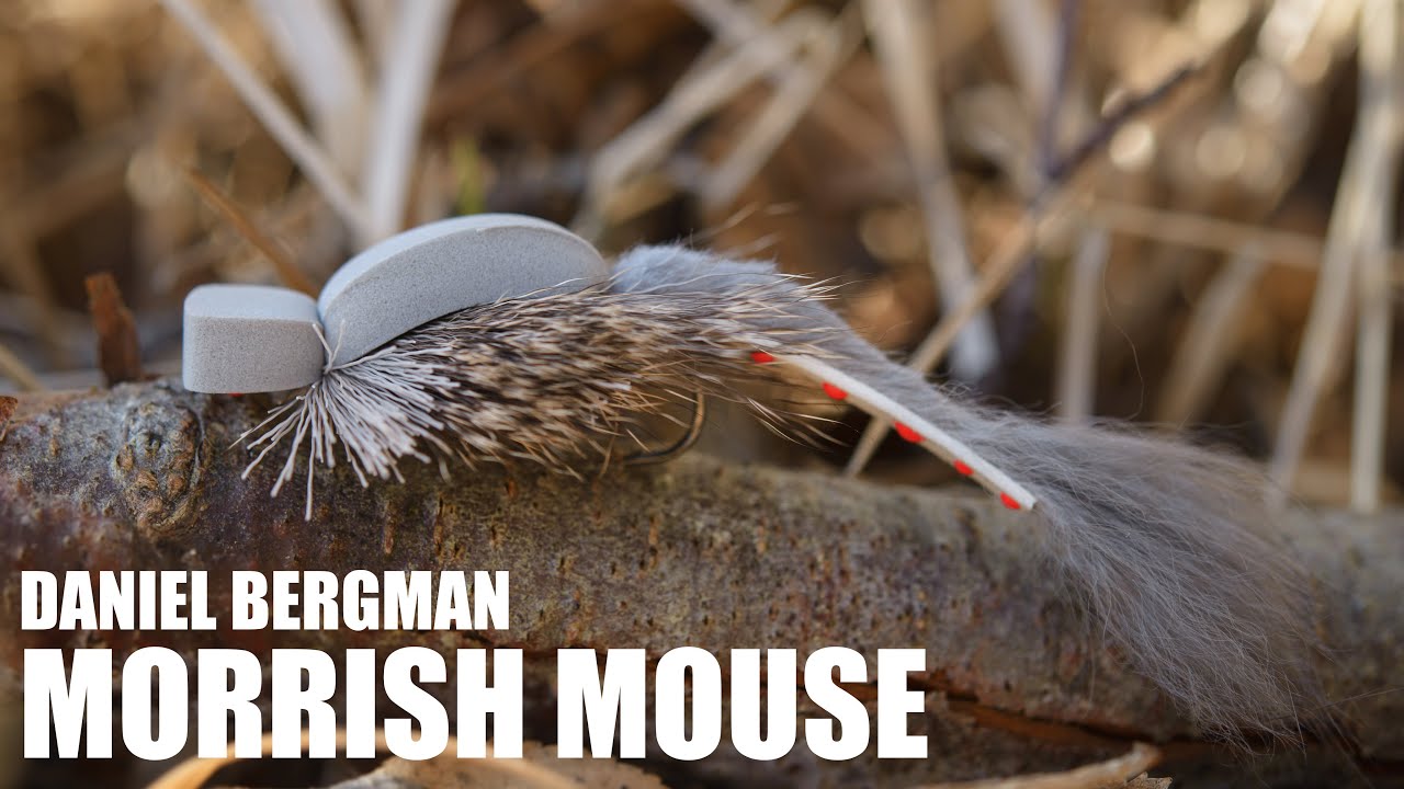 Morrish mouse by Daniel Bergman - YouTube