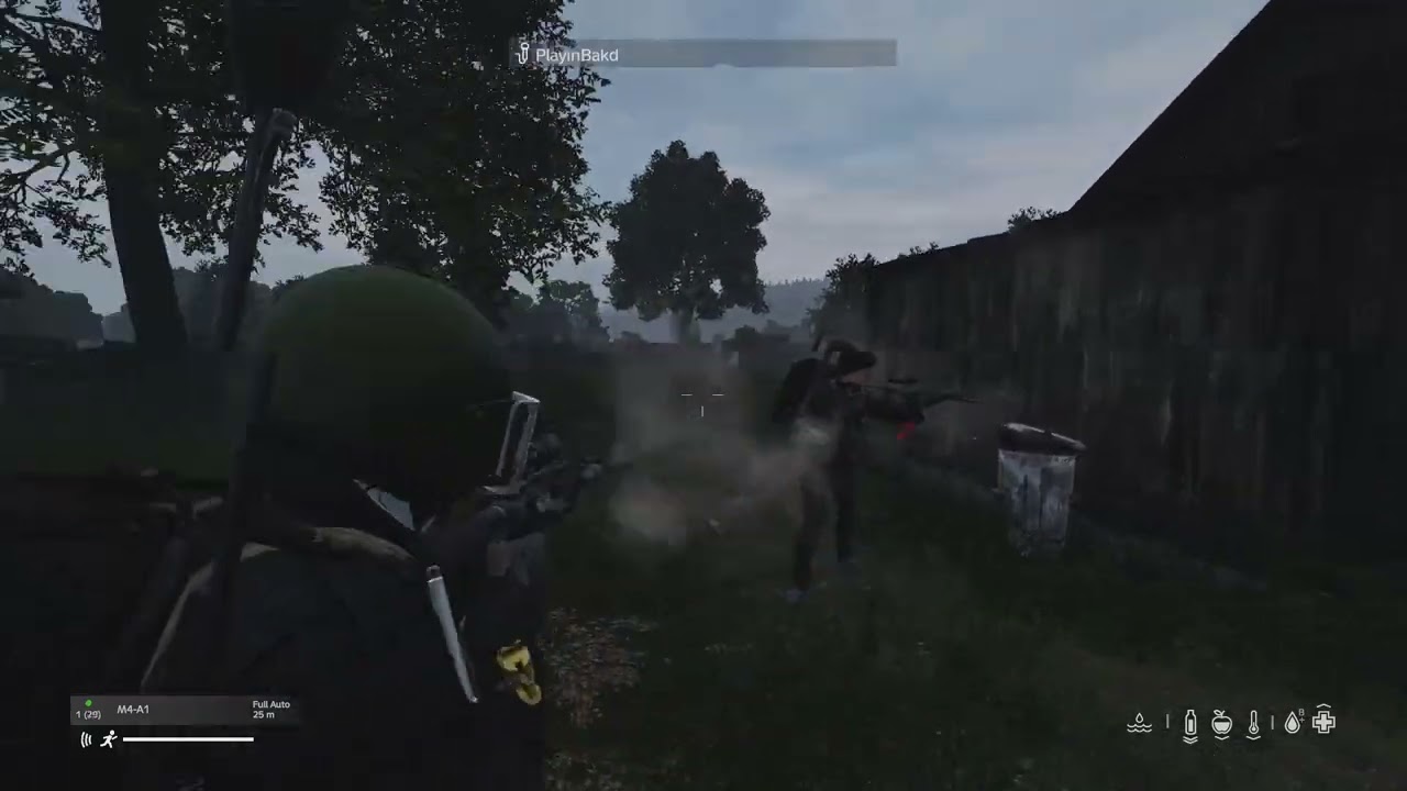 DayZ Double kill - YouTube