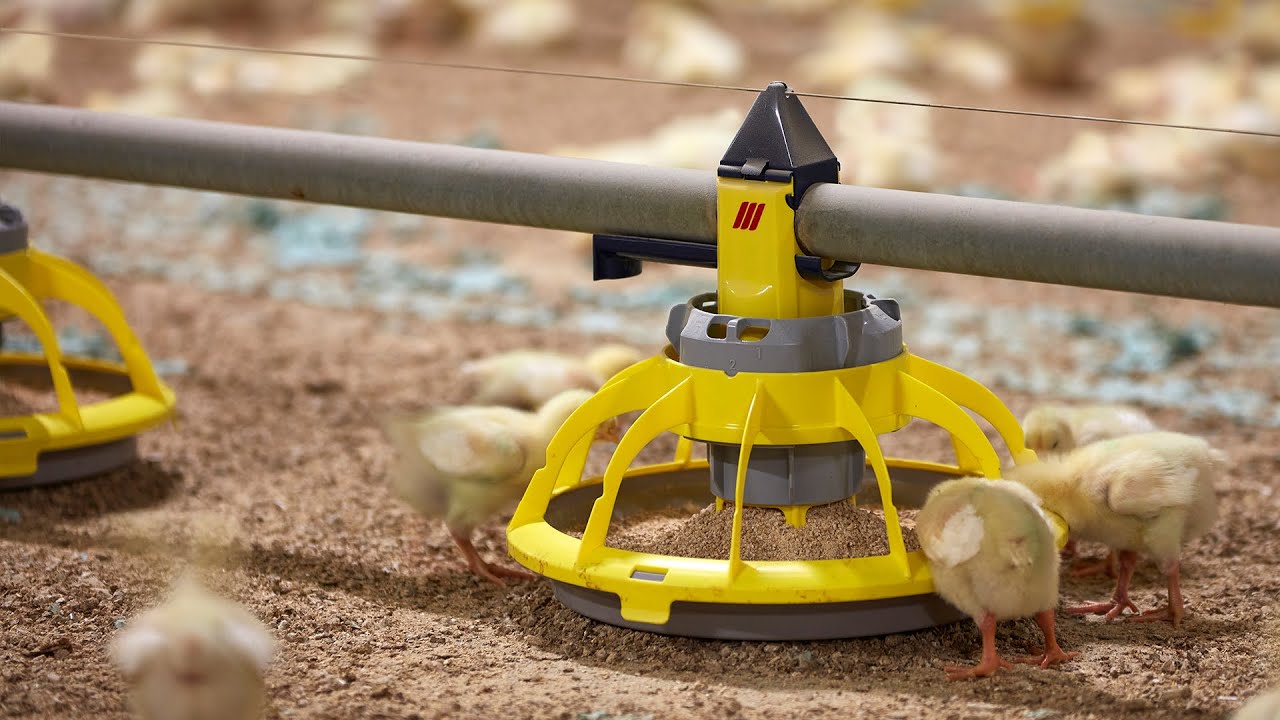 MiniMax™ round feeder pan for the automated feeding of broilers - YouTube