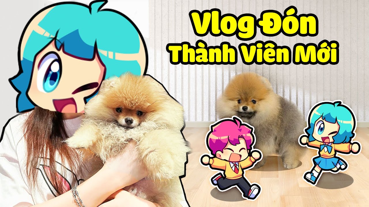 HIHA YUMMIE ĐÓN BÉ CÚN THÀNH VIÊN MỚI ( Hiha & Yummie Vlog ) 😍🐶 - YouTube