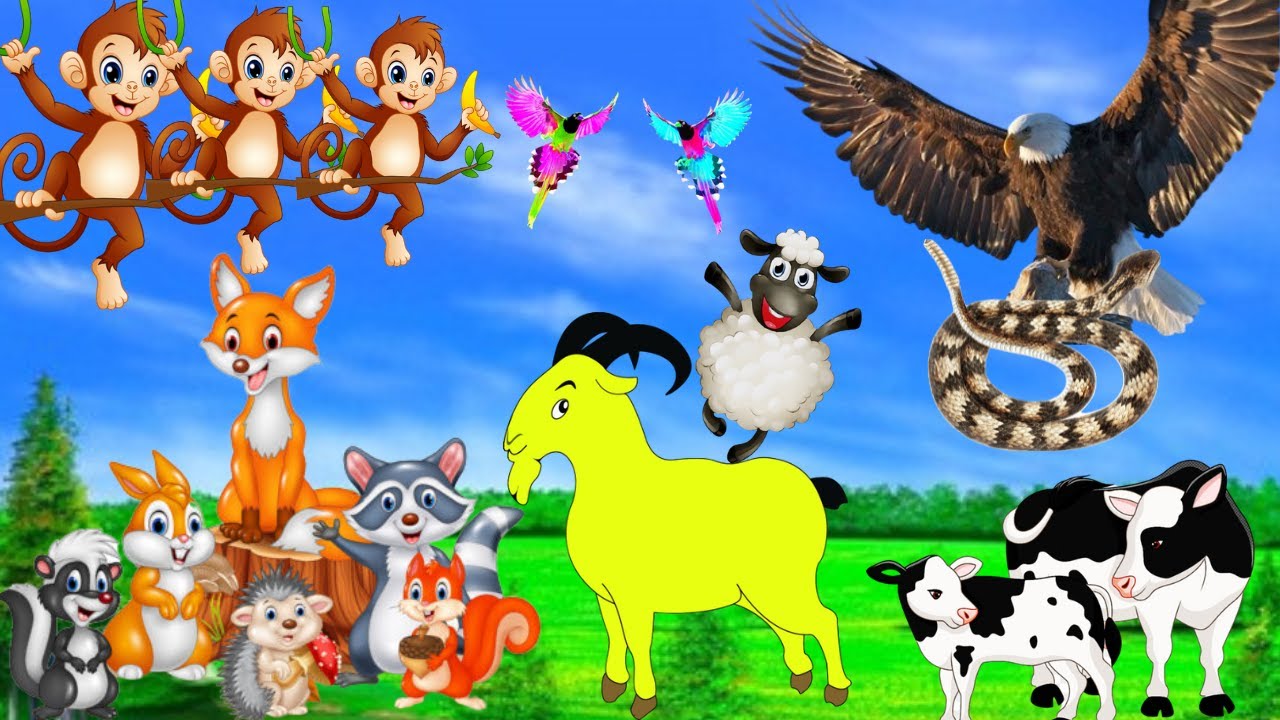 Around the Zoo Looking for Cows, Cats, Sheep, Horses, Elephants, Farm ...